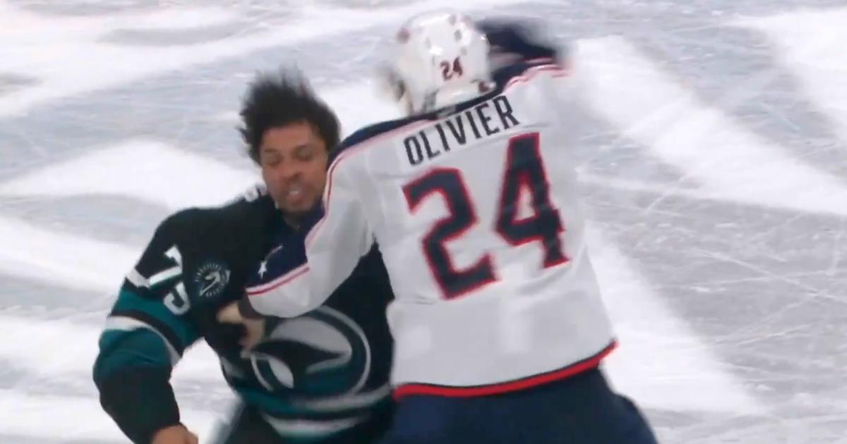 You’ve never seen Ryan Reaves get knocked out until this brutal fight ...