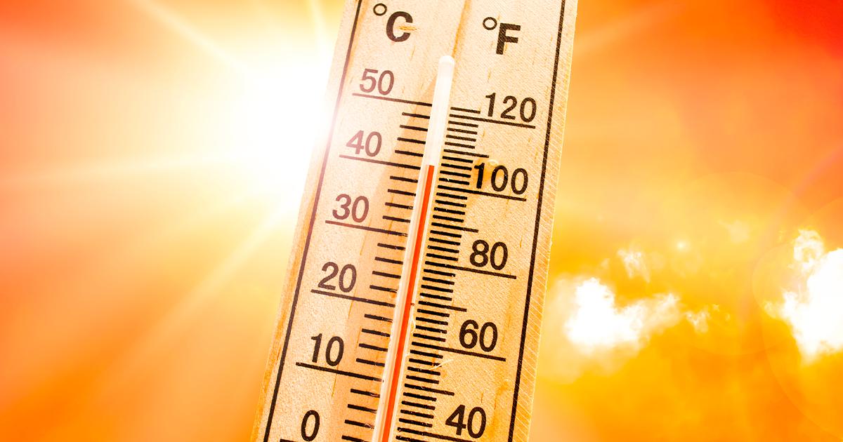 Avertissement de chaleur pour de nombreux secteurs du Québec pour les prochains jours - Trucs et ...
