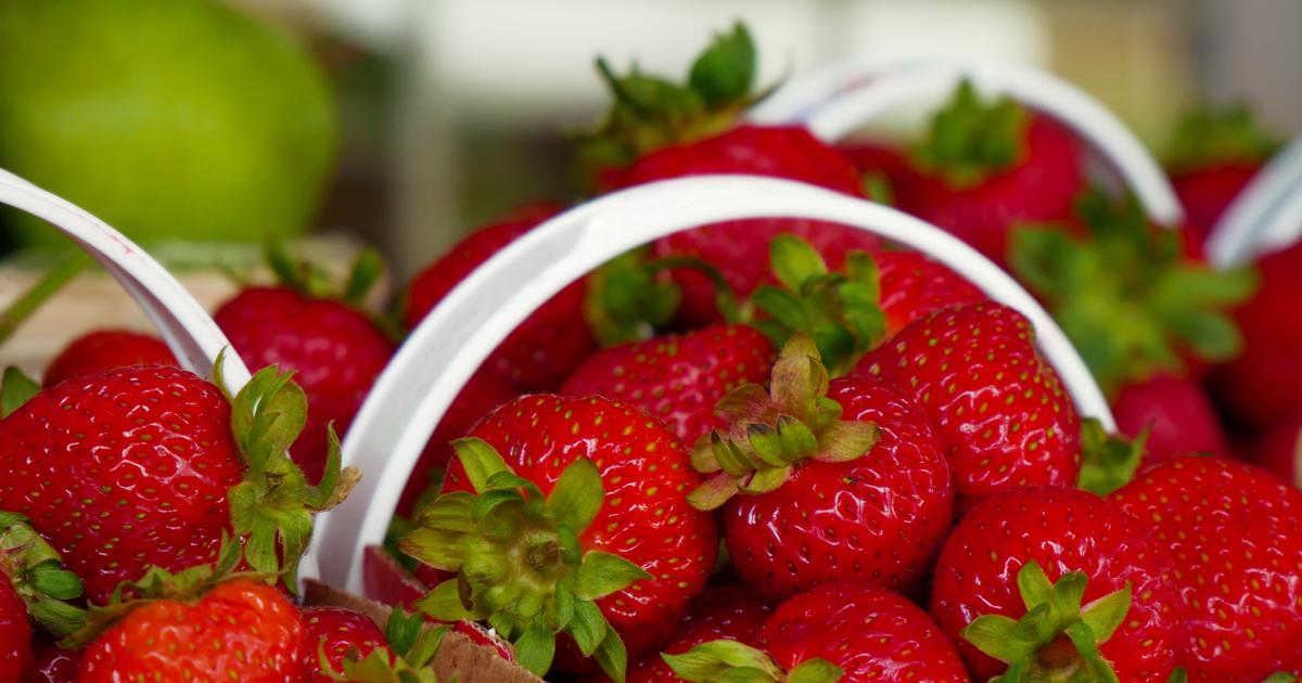 Les fraises du Québec arrivent dans les épiceries dès cette semaine et ...